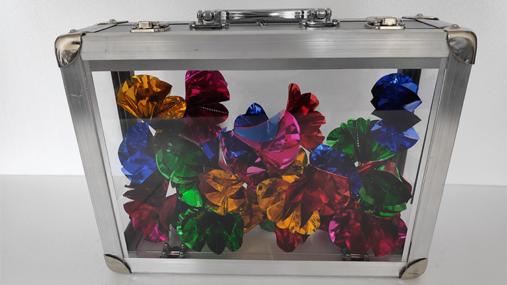 Glassy Briefcase by Tora Magic - Trick - Murphy's Magic Supplies, Inc ...