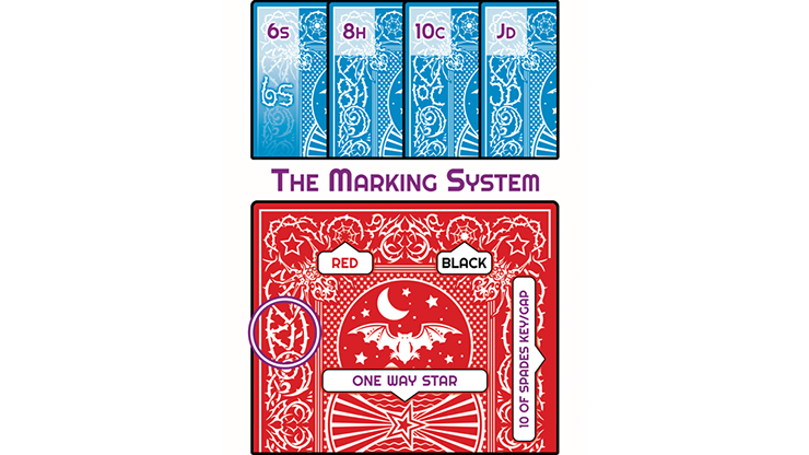 Pro Edition Night Flight Playing Cards by Steve Dela - Murphy's Magic ...