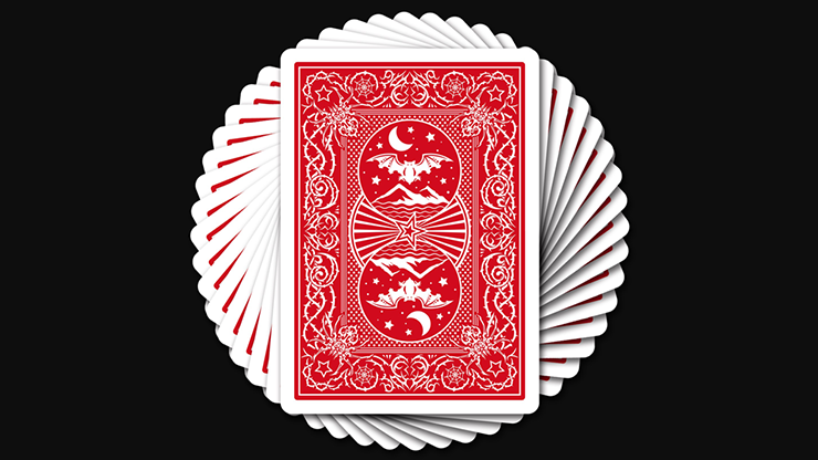 Pro Edition Night Flight Playing Cards by Steve Dela - Murphy's Magic ...