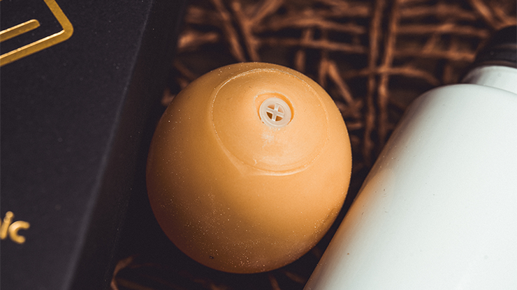 Egg Bottle by Long Long & Bacon Magic - Murphy's Magic Supplies, Inc ...